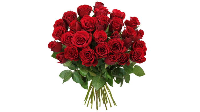 53 rote Rosen (Classic Red) bei BlumeIdeal für 24,98€ inkl. Versand